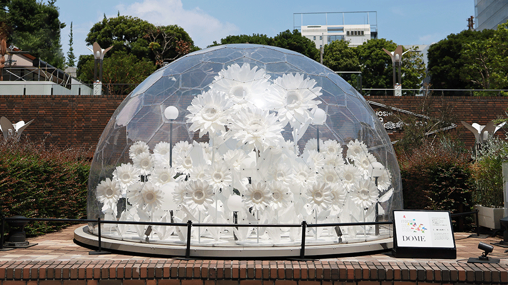 「ITOCHU SDGs STUDIO DOME」第三弾｜ITOCHU SDGs STUDIO